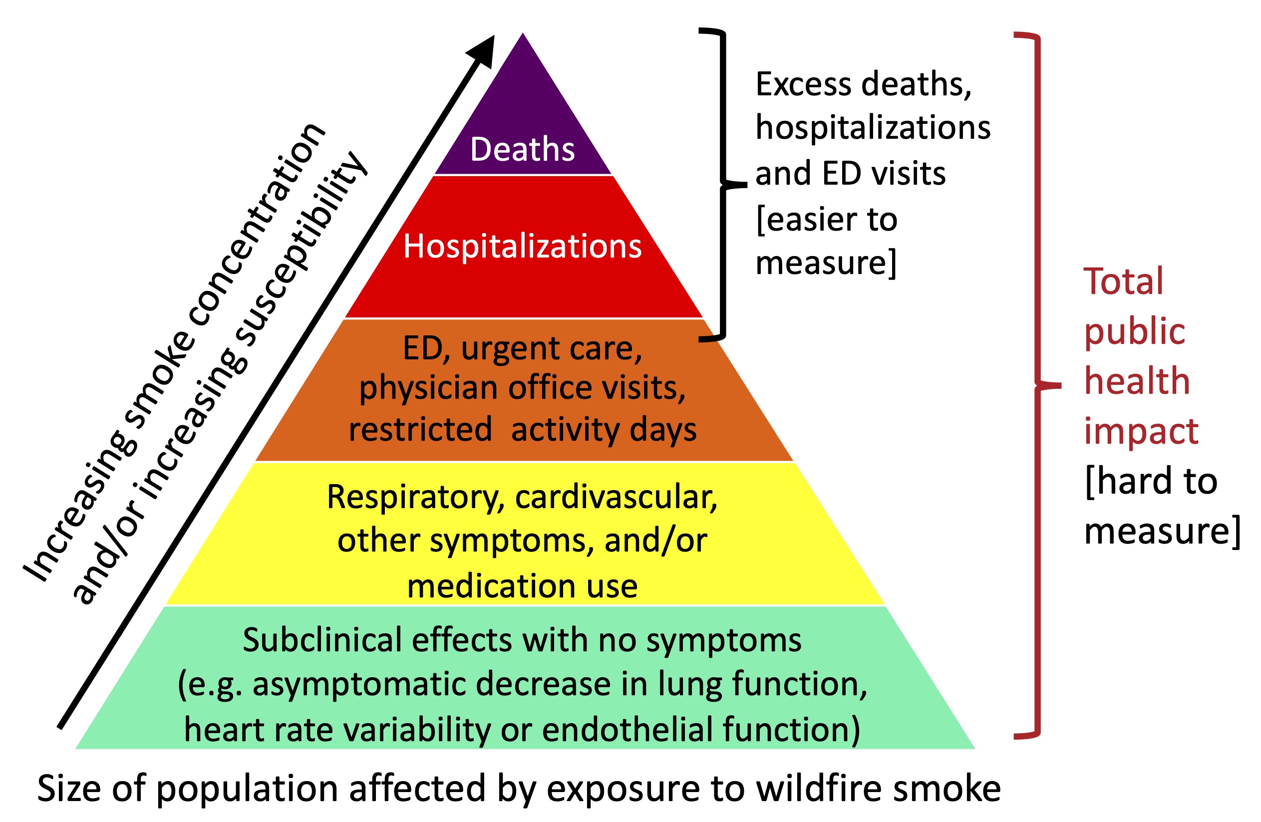 The impact of forest fires on human health | Observatoire de la ...