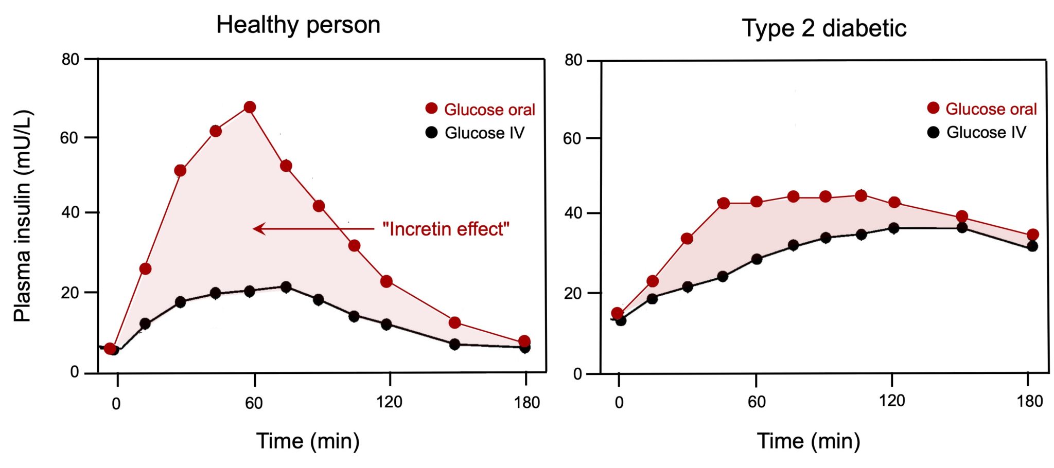 Ozempic® (semaglutide) and Mounjaro™ (tirzepatide), a major ...