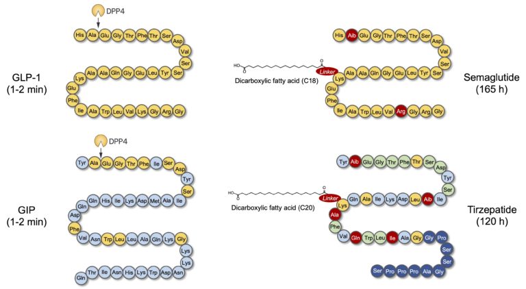 Ozempic® (semaglutide) and Mounjaro™ (tirzepatide), a major ...