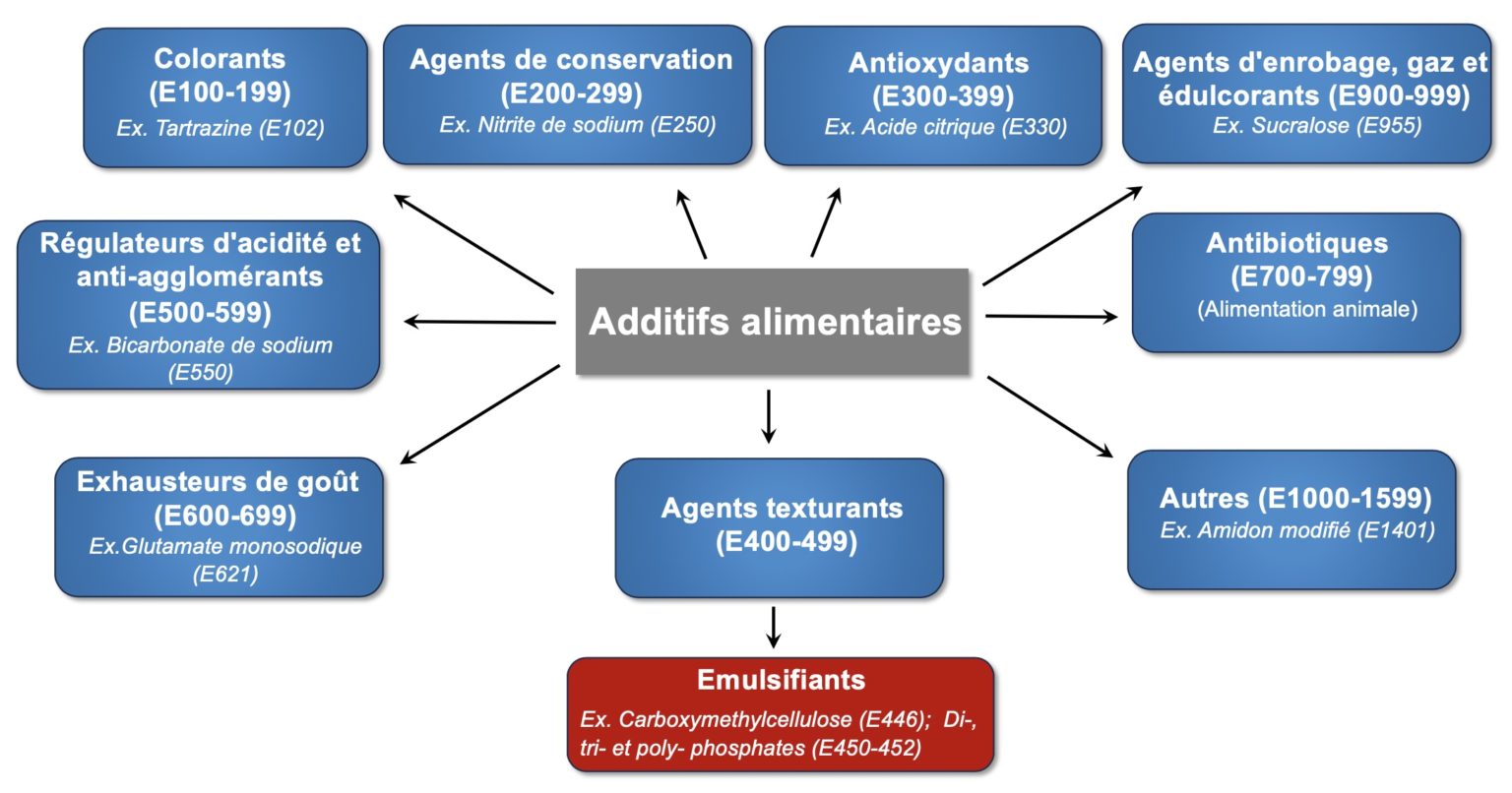 Les émulsifiants, des additifs alimentaires qui haussent le risque de maladies cardiovasculaires ...