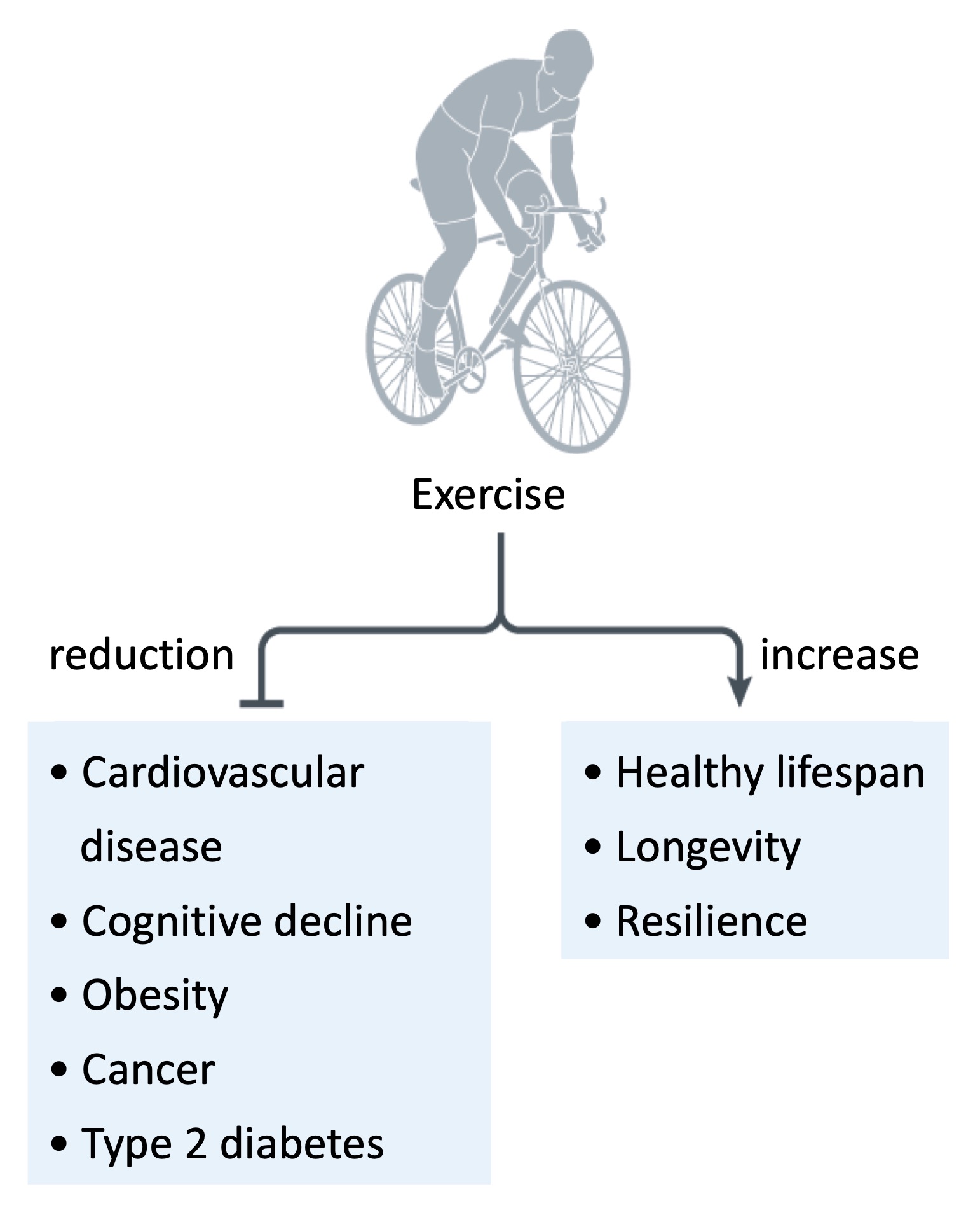 Exerkines : Mediators of the health benefits of exercise | Observatoire ...