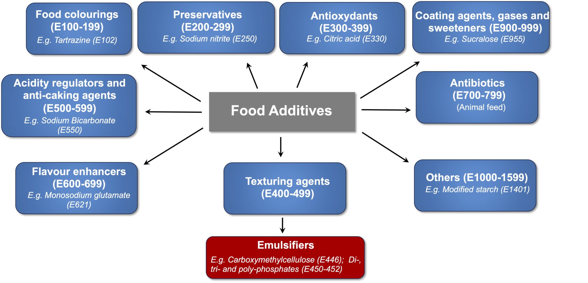 Emulsifiers: Food additives that increase the risk of cardiovascular ...