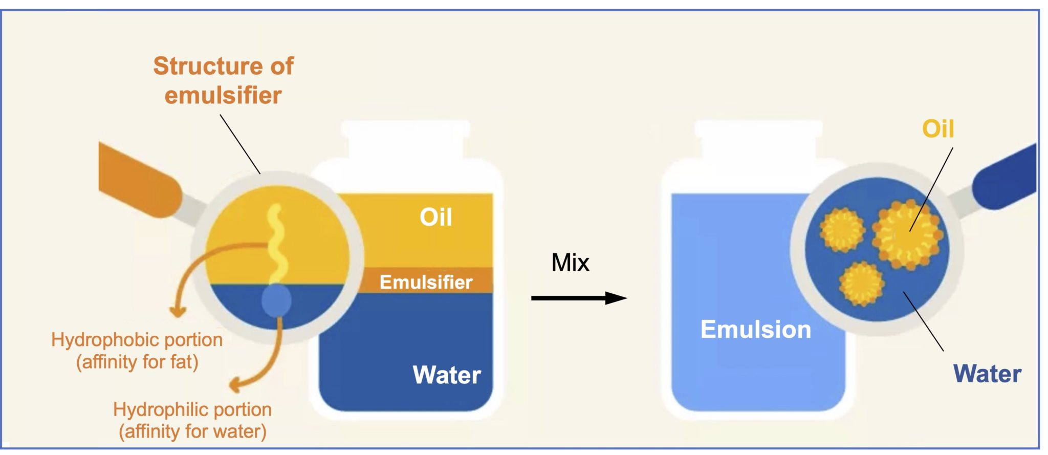 Emulsifiers: Food additives that increase the risk of cardiovascular ...