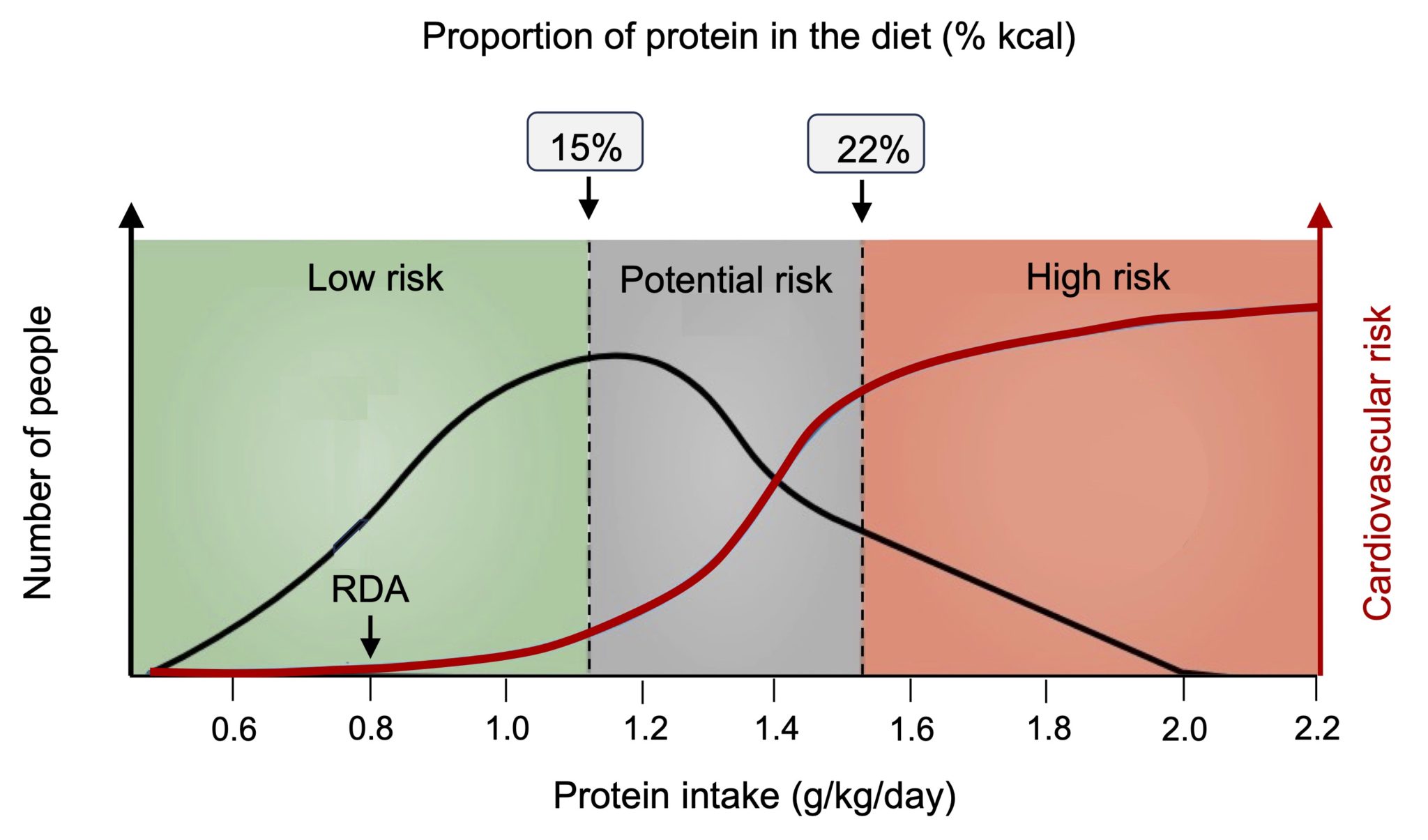 High protein intake could increase the risk of cardiovascular events ...