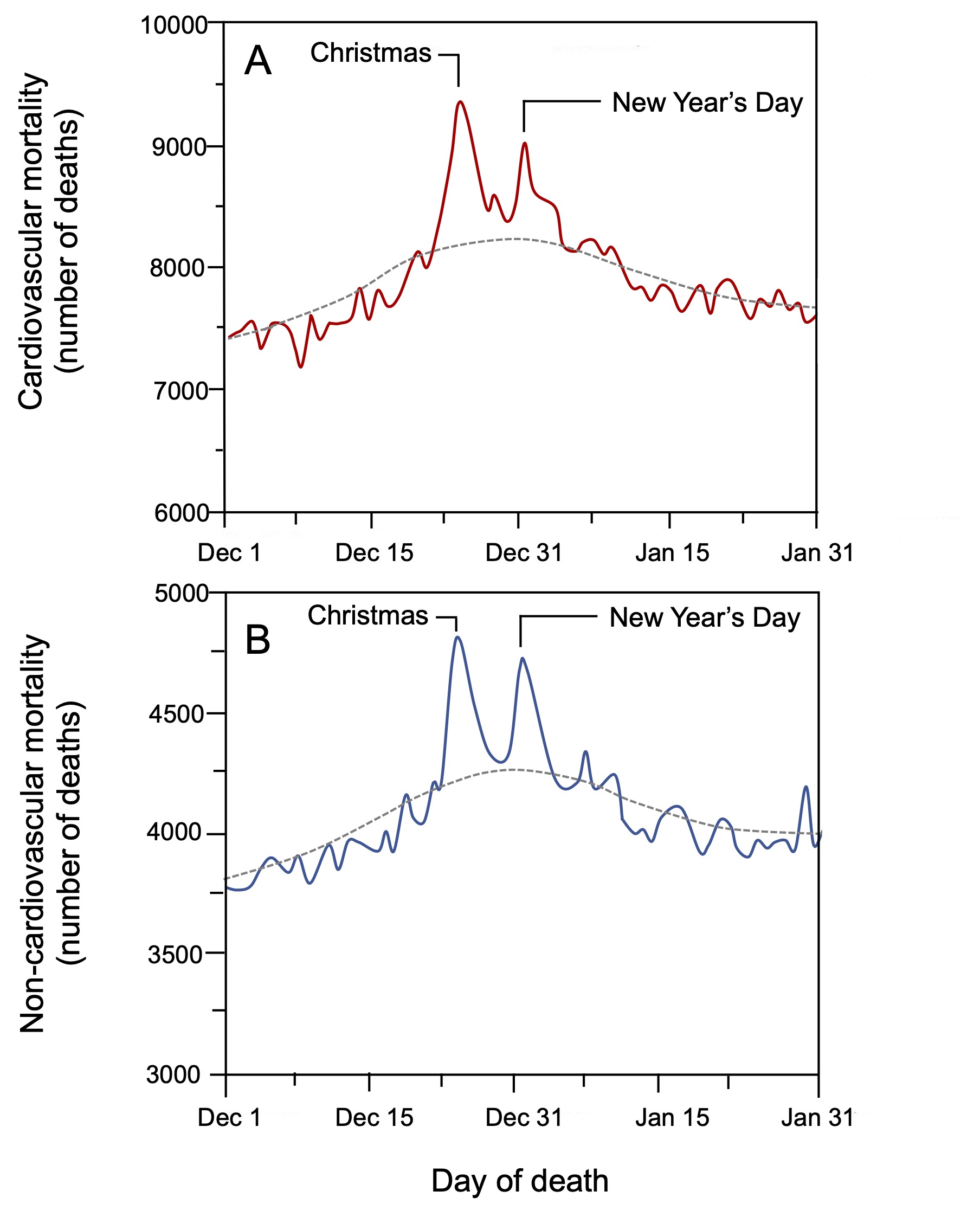 Cardiovascular mortality increases during the holiday season ...