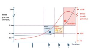 Fat and Sugar: The Deadly Duo Behind Insulin Resistance | Prevention ...