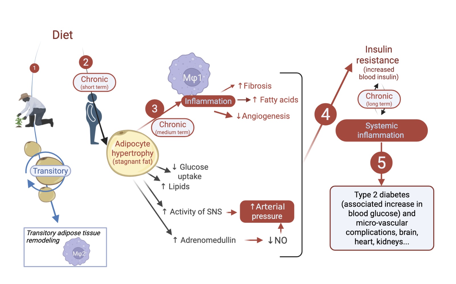 Fat and Sugar: The Deadly Duo Behind Insulin Resistance | Prevention ...